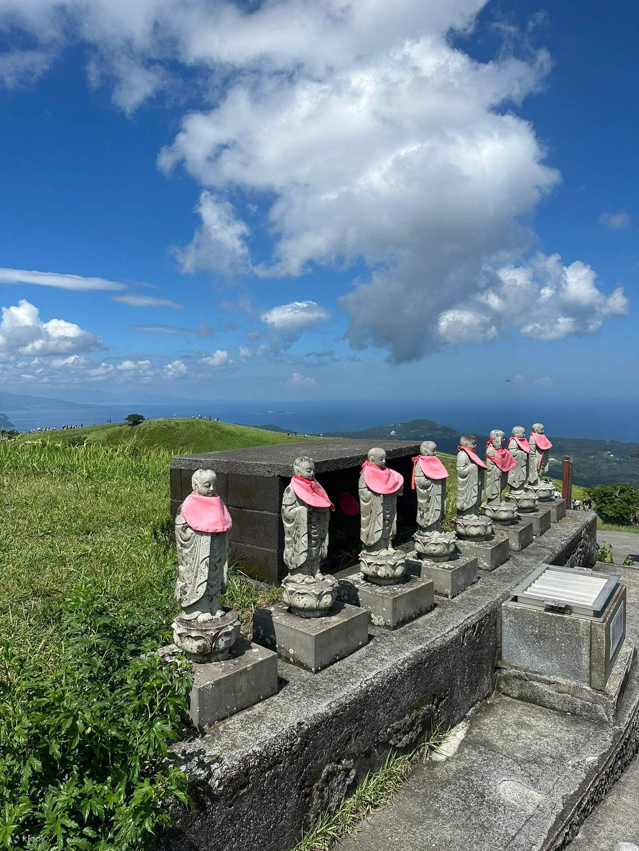 Hakone Izu Day Tour｜Hakone Shrine & Izu Cactus Zoo & Capybara Hot ...